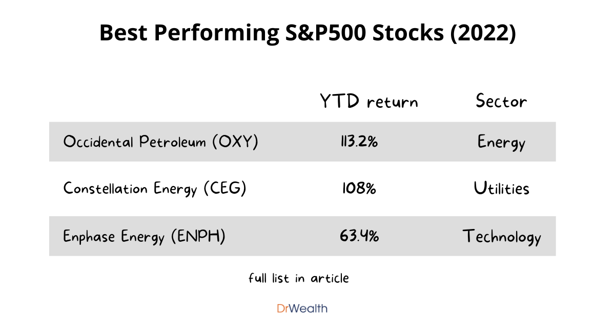 Best & Worst performing S&P500 stocks of 2022 | Dr Wealth
