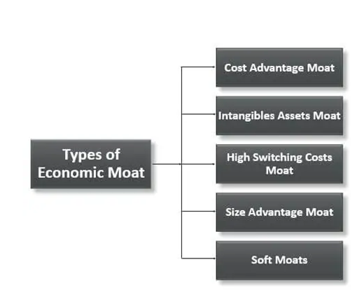 5 undervalued stocks with wide economic moats