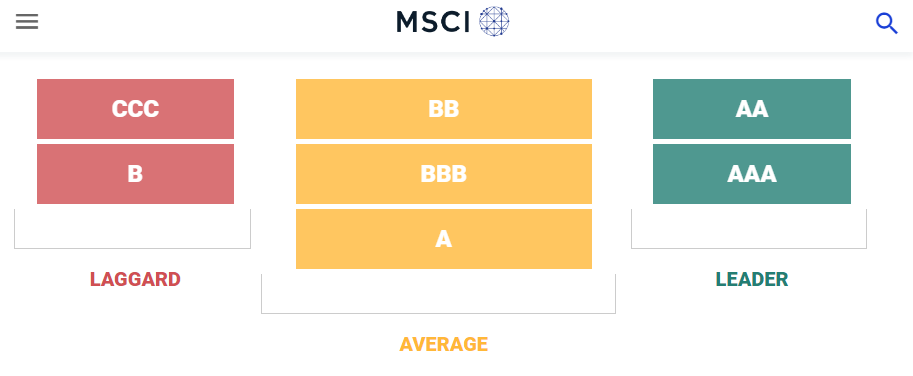 What is an ESG Rating?
