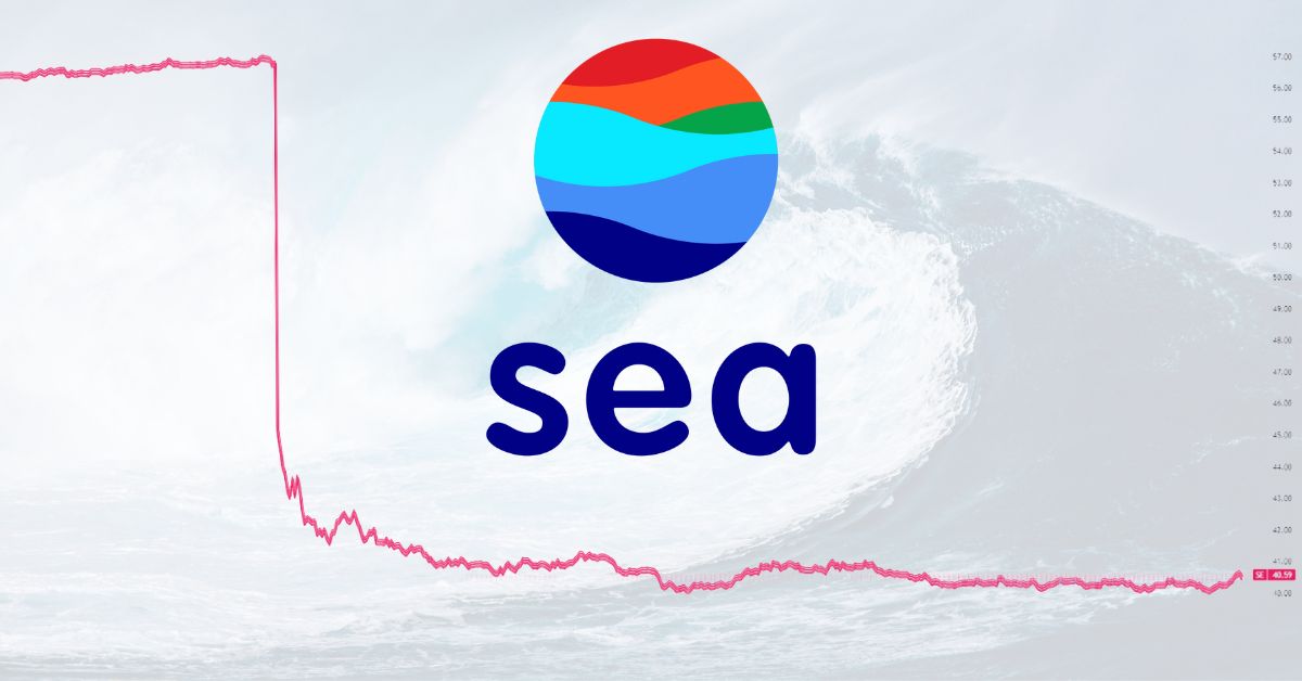 Sea Limited plunges 29% after 2Q23 earnings! Time to buy? | Dr Wealth